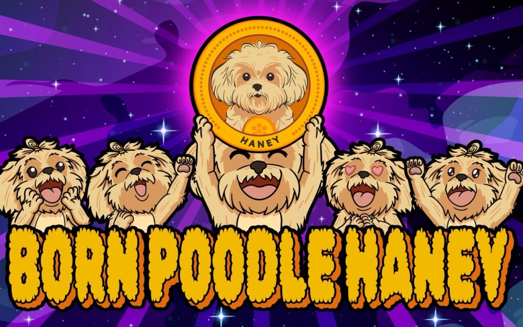 Introducing Poodle Haney: The Next Big Meme Coin! | Join the Presale ...